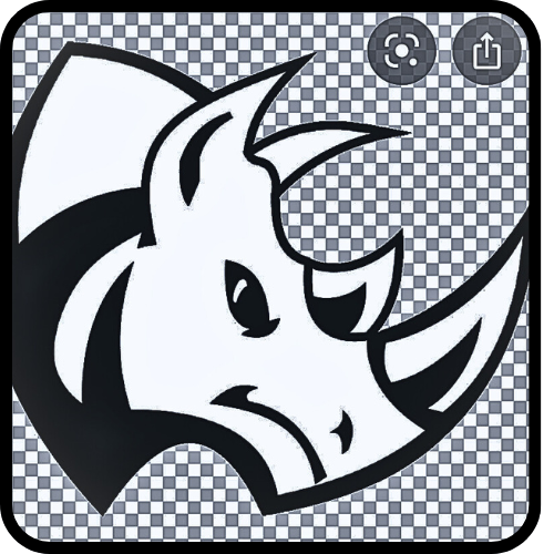 BLACK RHINO LLC